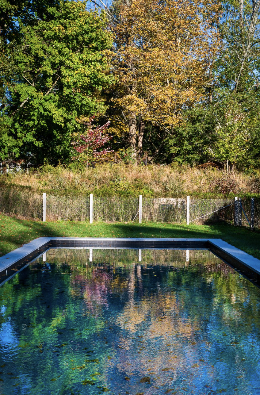 Barlis Wedlick | Meadow House